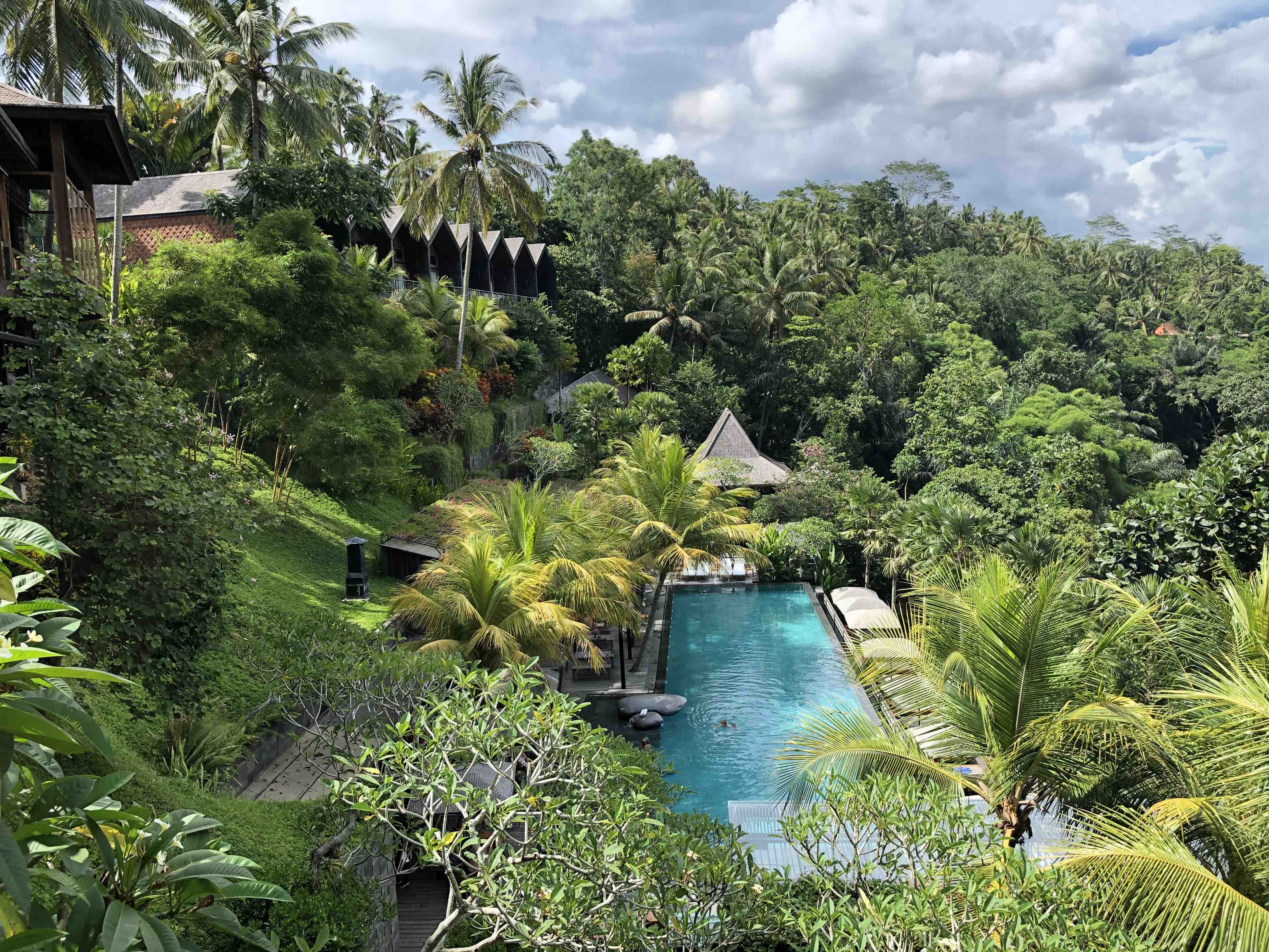 bali-gezi-rehberi-jungle-fish - Gezilecek Yerler - FilGezi