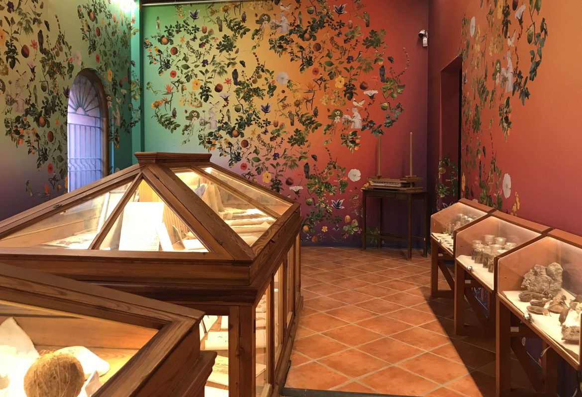 Palermo-gezilecek-yerler-botanik-bahceleri - Gezilecek Yerler - FilGezi